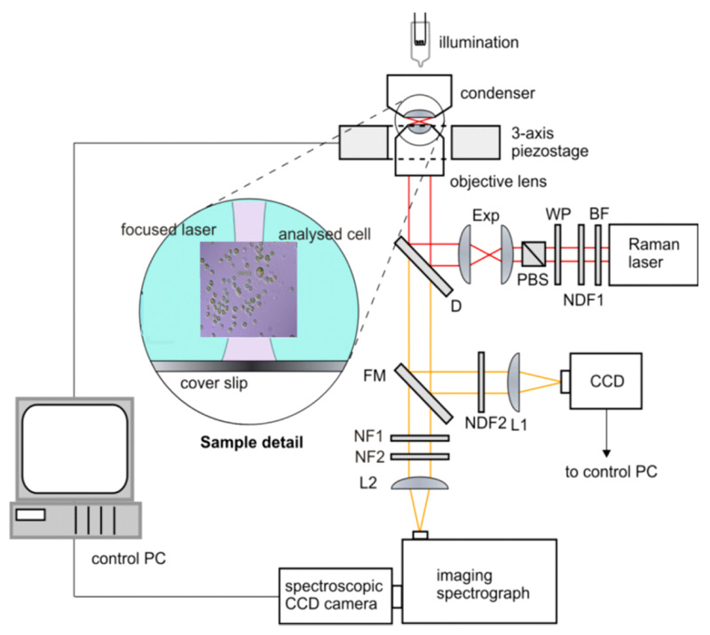 Following lipids in the food chain: determination of the iodine value ...